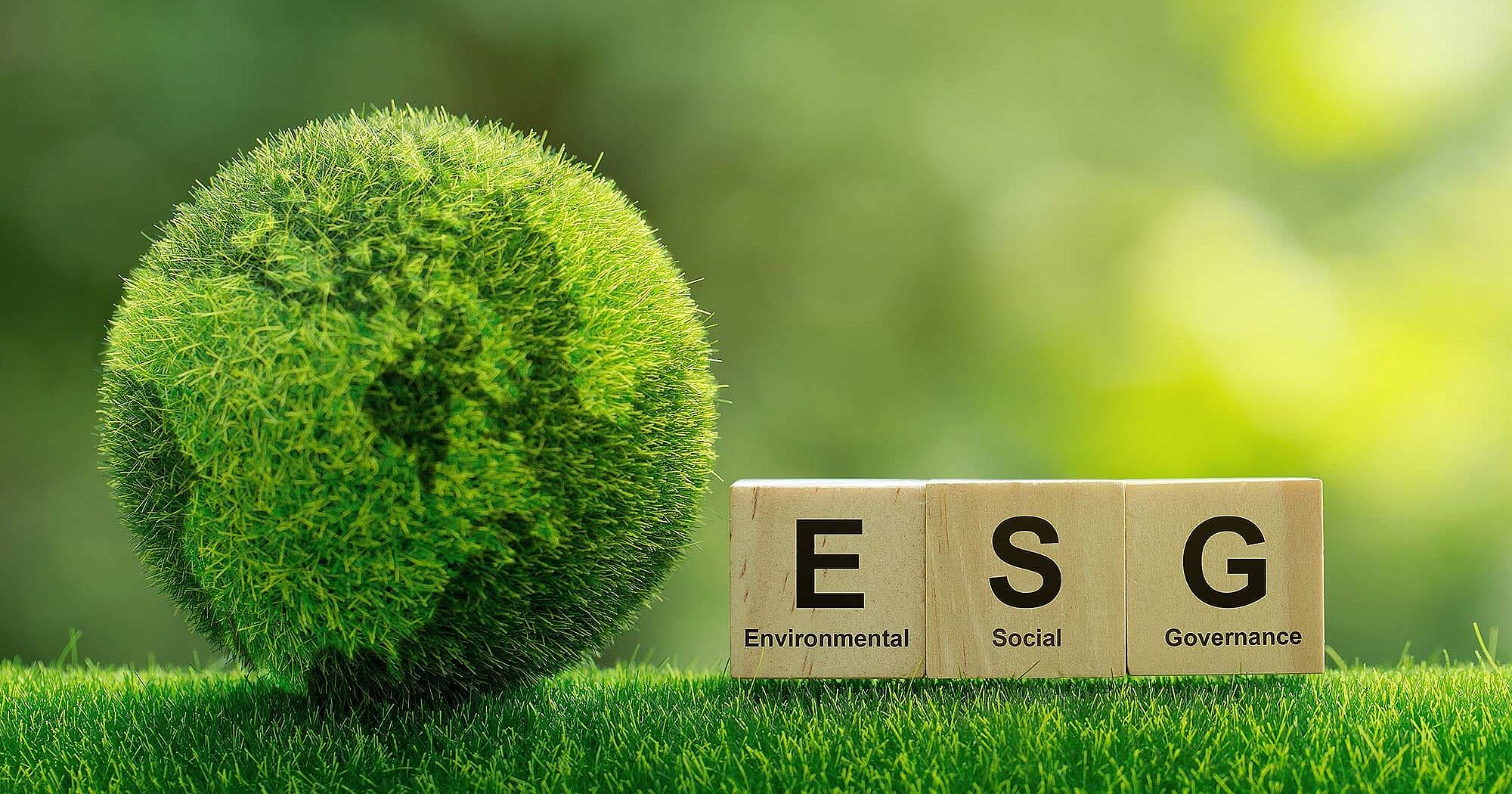Certificat ESG | Université Paris Dauphine-PSL, campus de Tunis